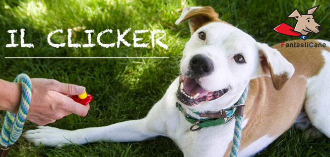 Il Clicker: cos'è e come utilizzarlo per educare il tuo cane ...